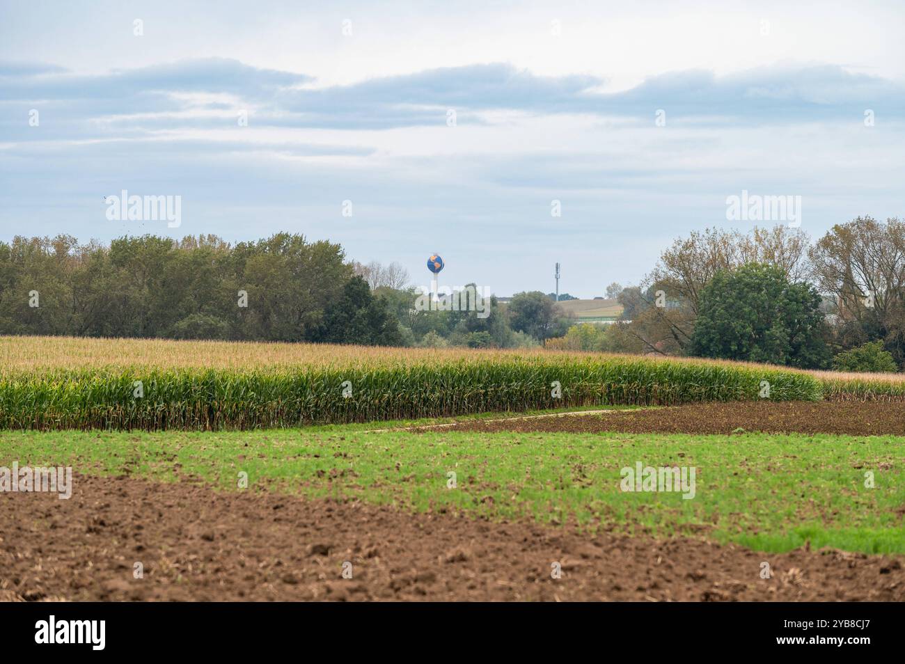 Colorful plowed agriculture fields at the Flemish countryside in ...