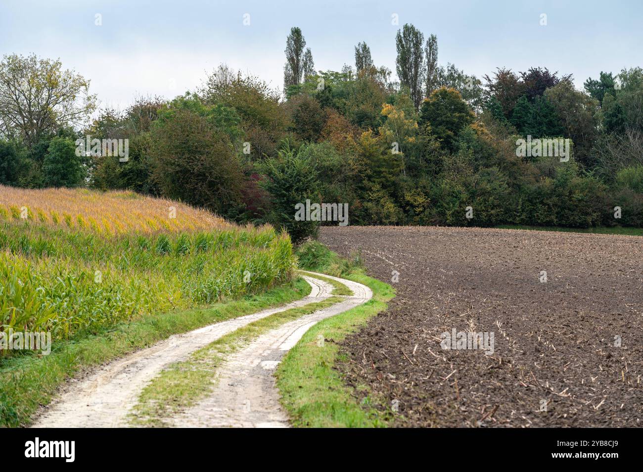 Dirty road through plowed agriculture fields at the Flemish countryside ...