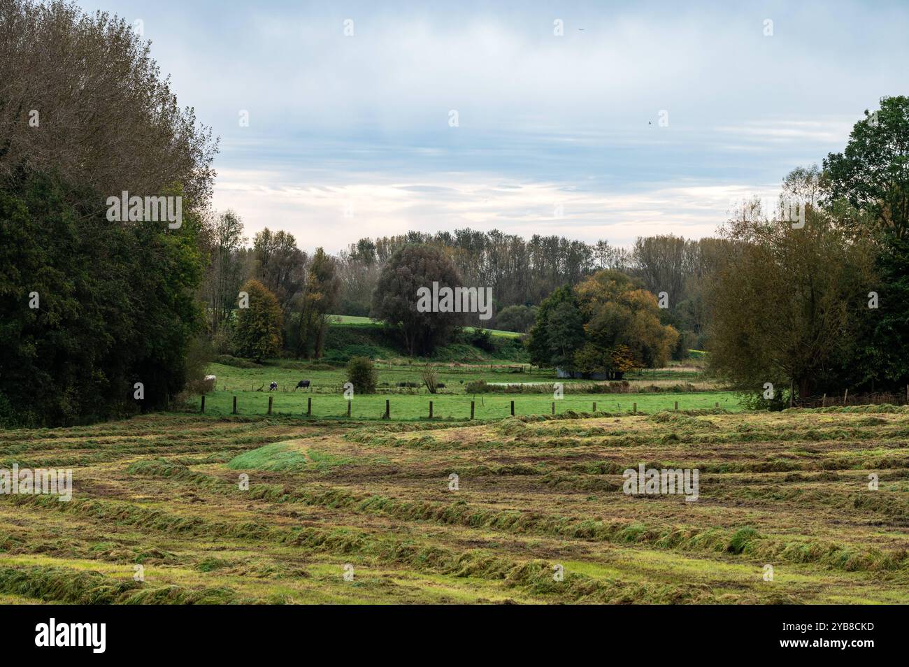Colorful agriculture fields and hills at the Flemish countryside in ...