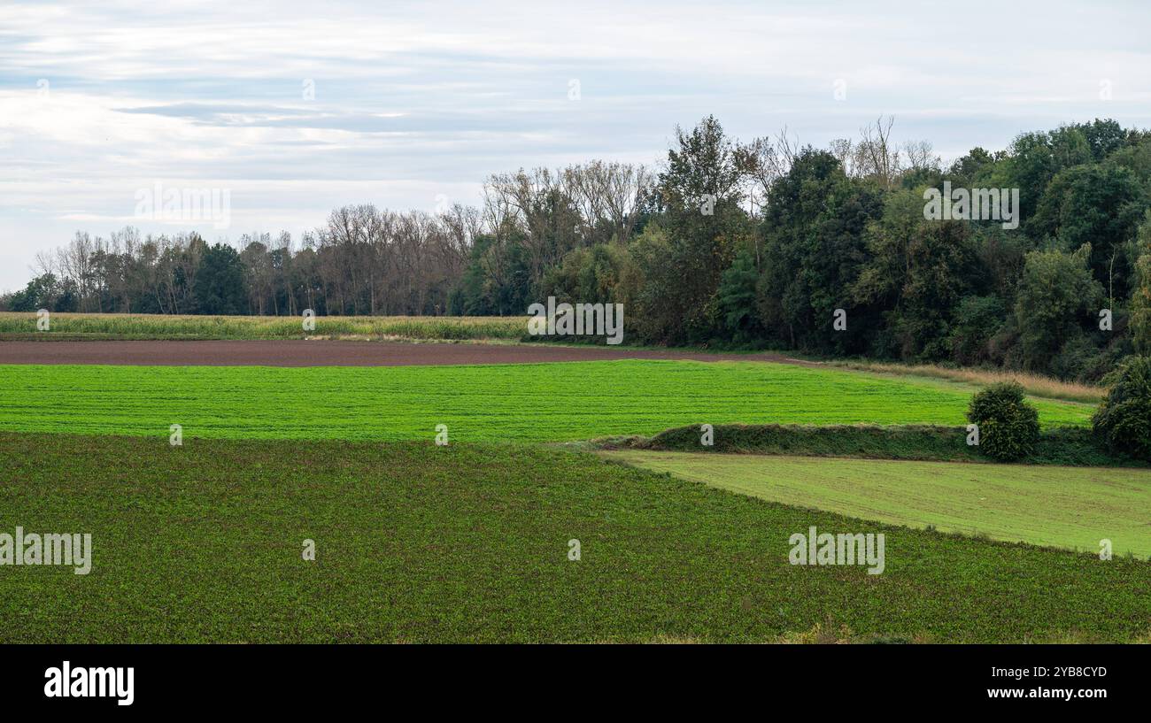 Colorful agriculture fields and hills at the Flemish countryside in ...