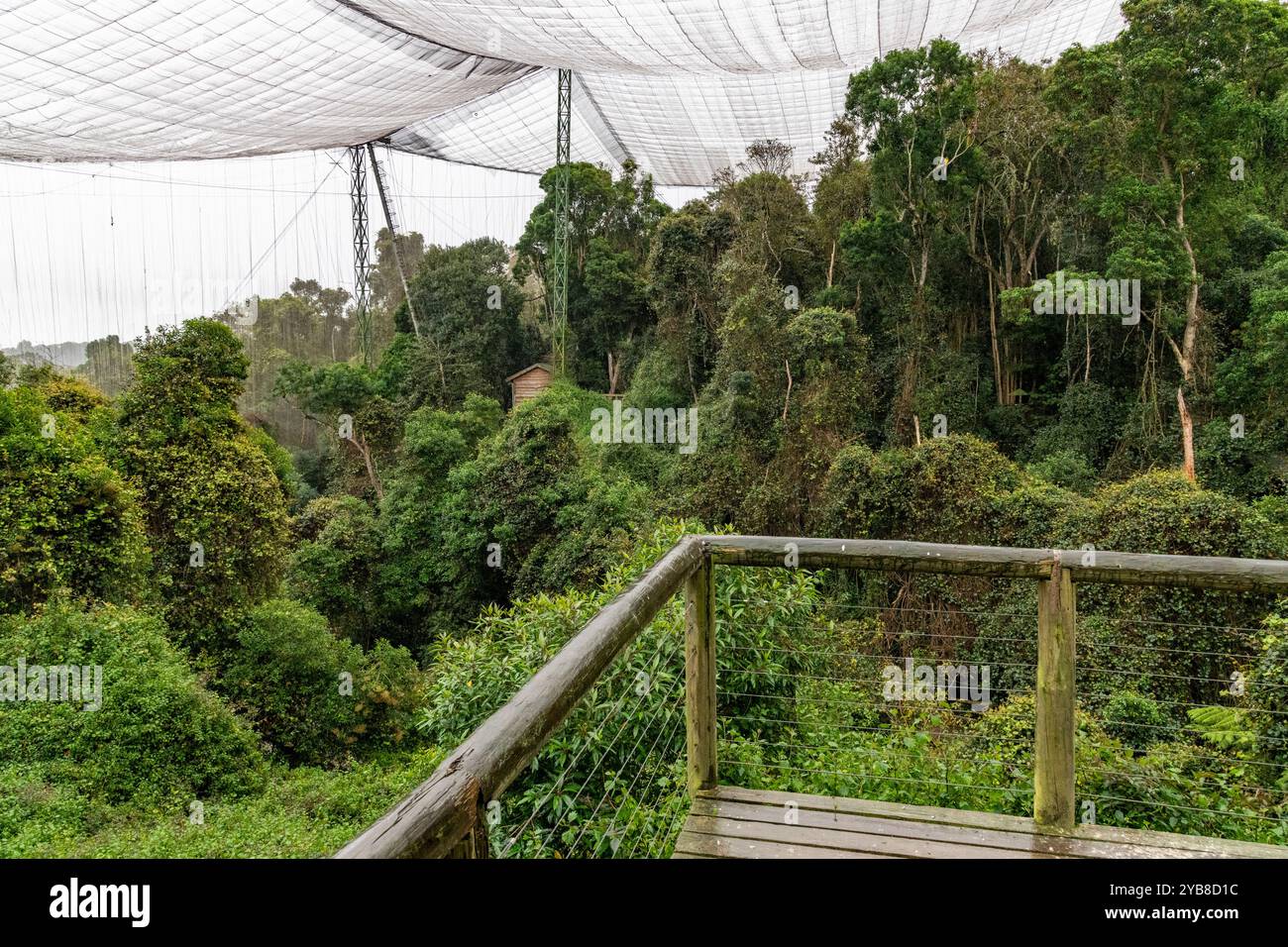 A view inside of the Birds of Eden sanctuary in Plettenberg Bay, South ...