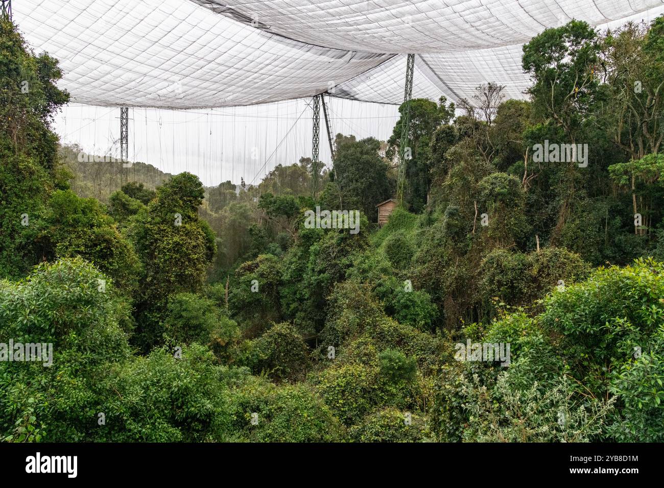 A view inside of the Birds of Eden sanctuary in Plettenberg Bay, South ...