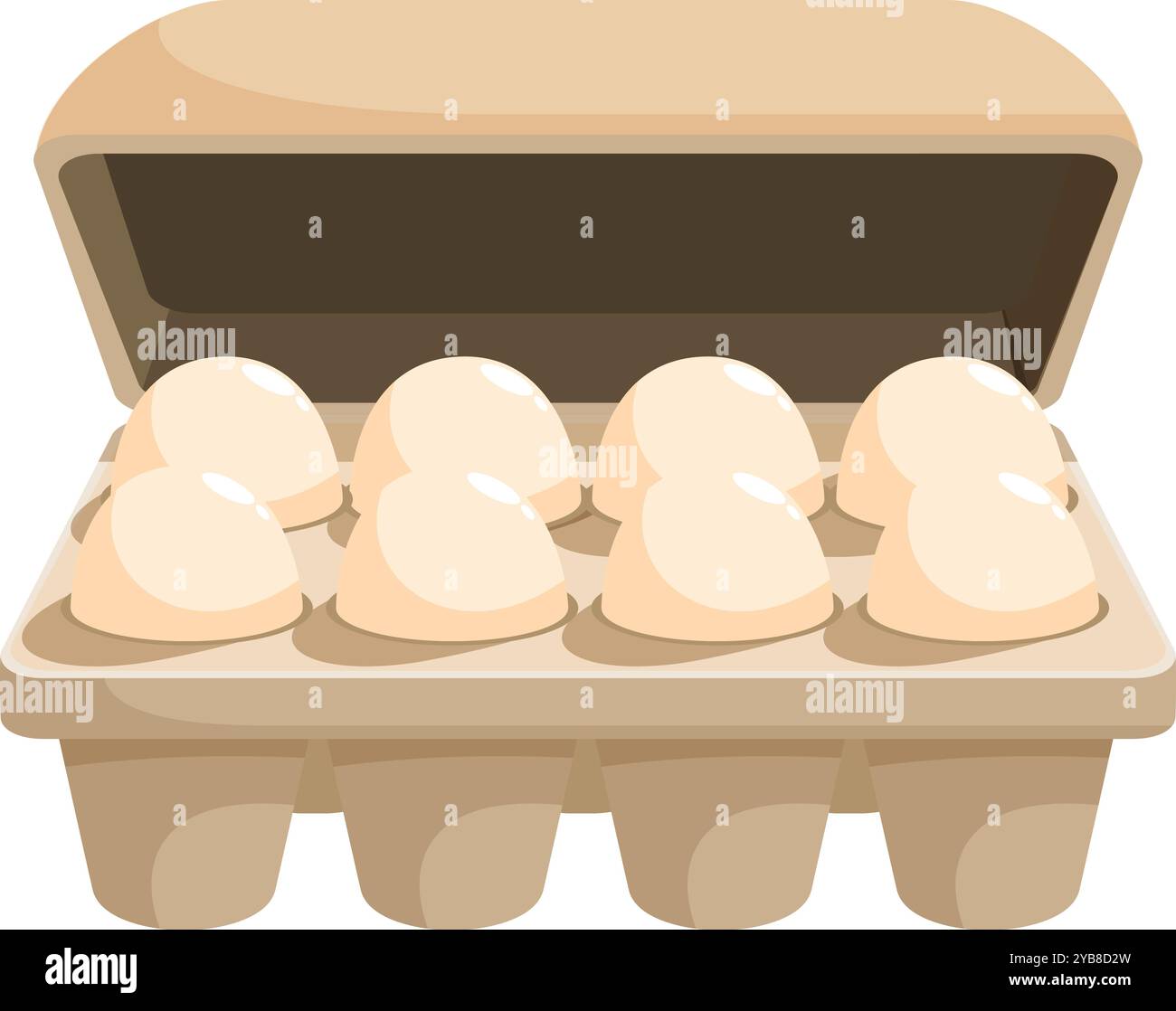 Open cardboard egg box holding ten white chicken eggs Stock Vector ...