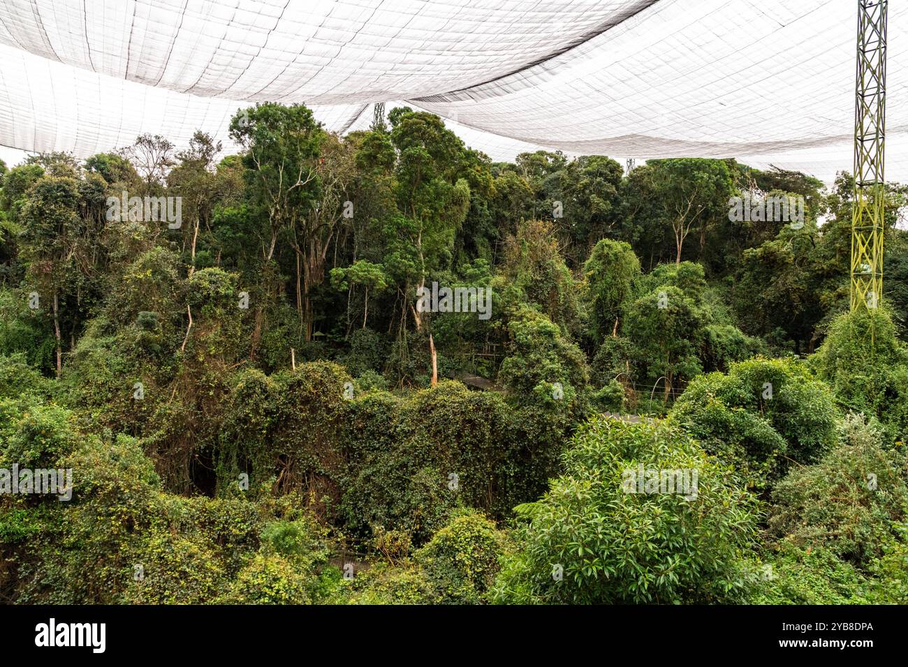 A view inside of the Birds of Eden sanctuary in Plettenberg Bay, South ...