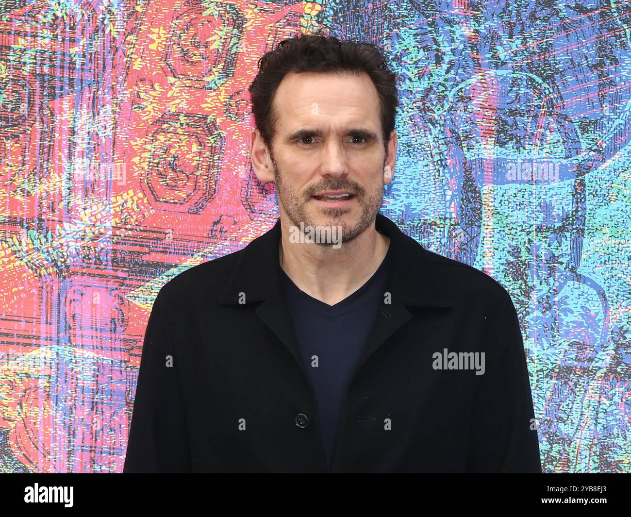 Roma Cinema Fest 2024. Rome Film Fest. Photocall Matt Dillon Stock ...