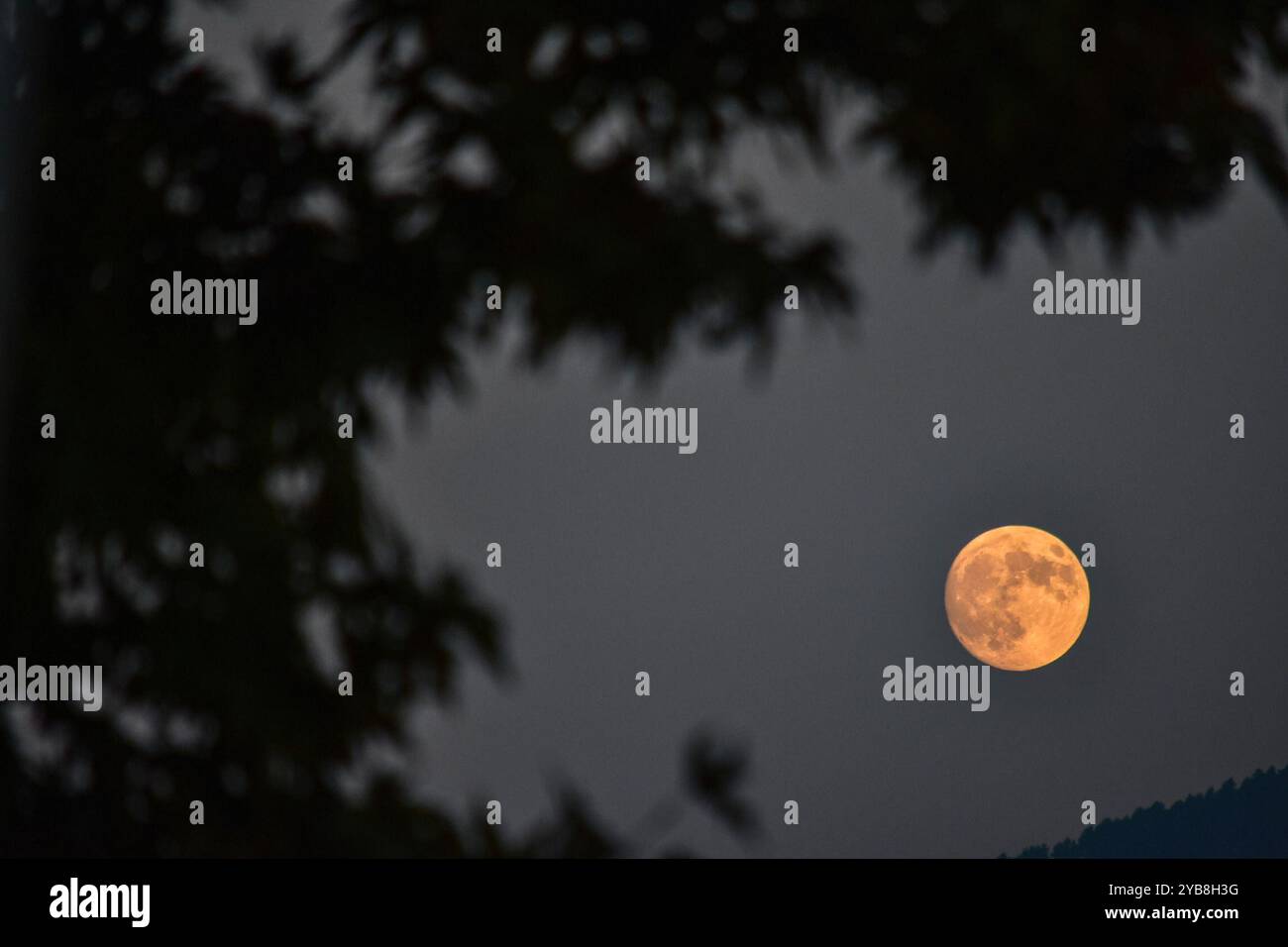 The biggest and the brightest super moon also known as Hunter's moon ...