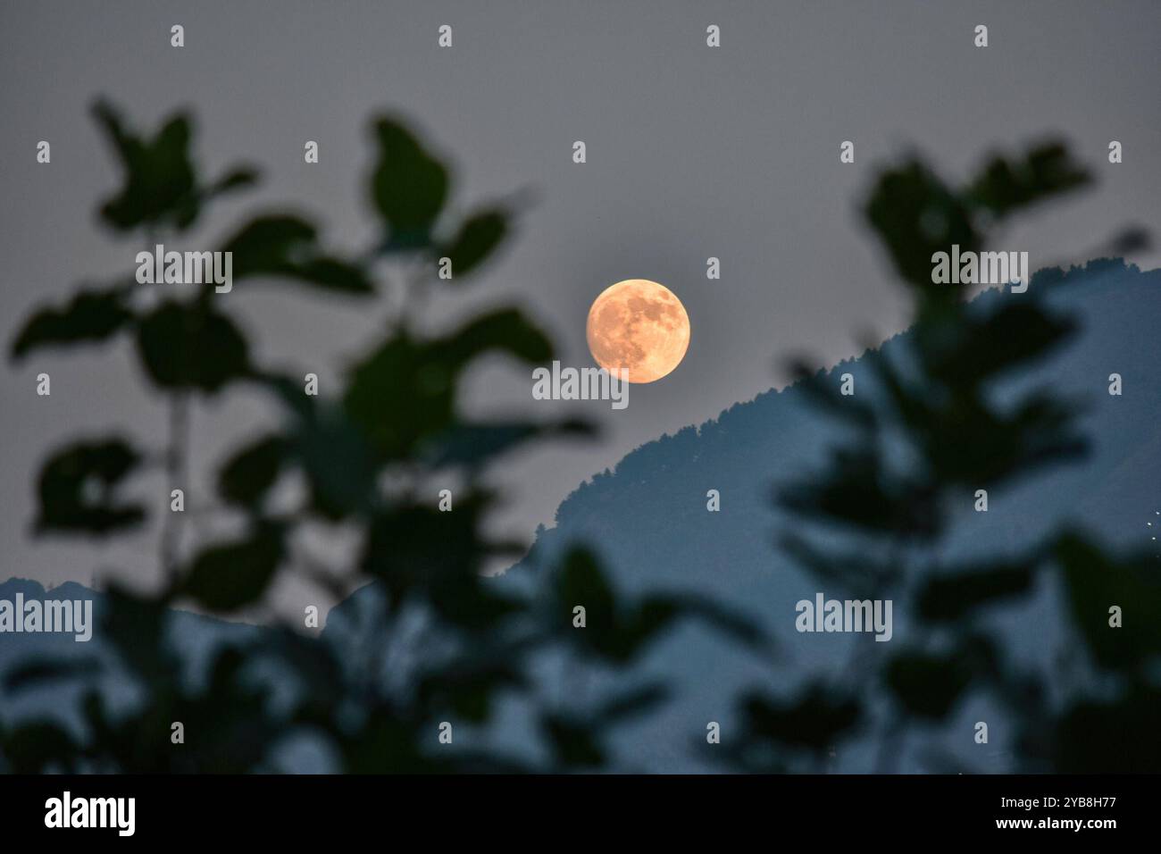 The biggest and the brightest super moon also known as Hunter's moon ...