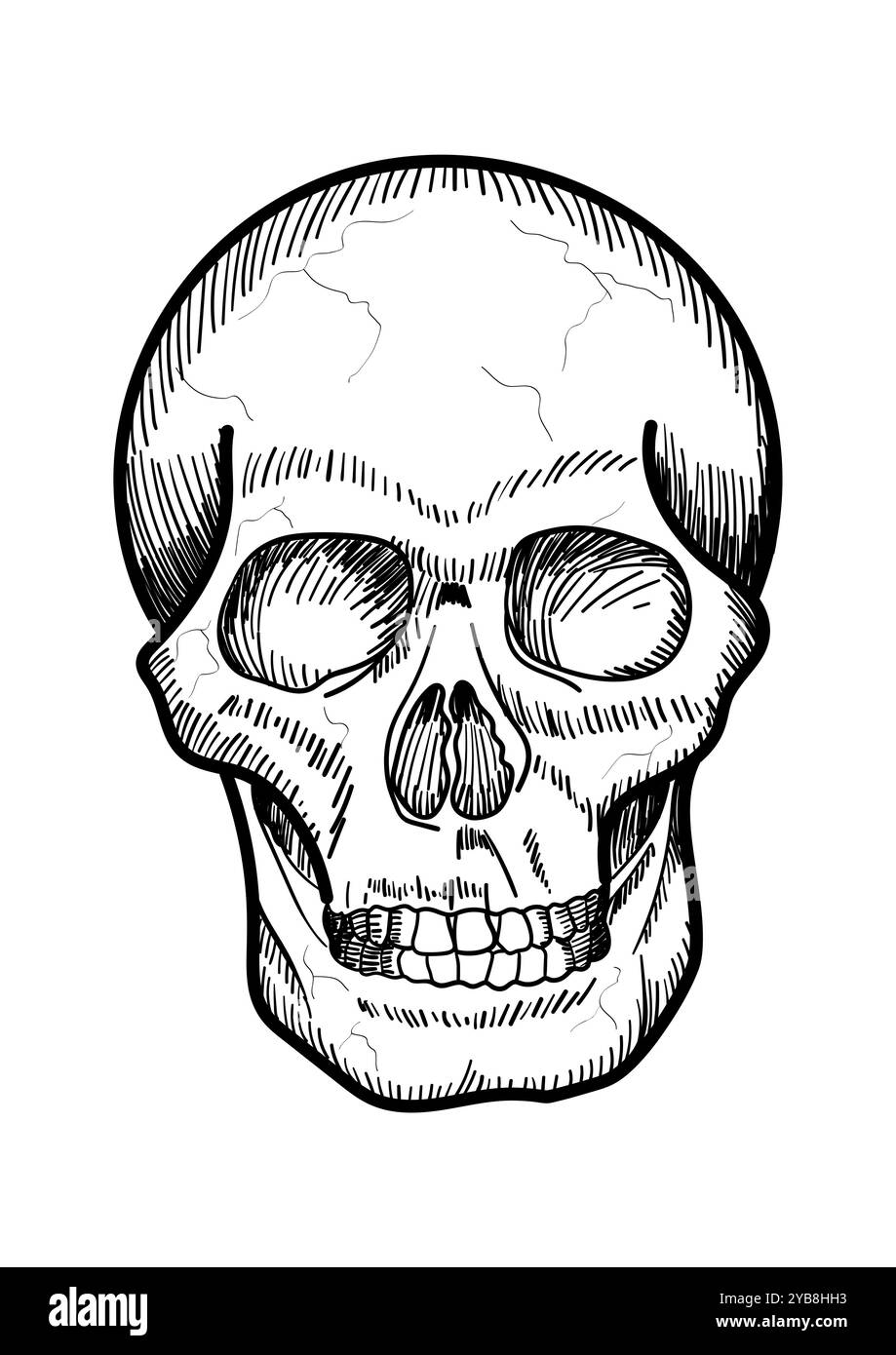 Skull line icon Cut Out Stock Images & Pictures - Alamy