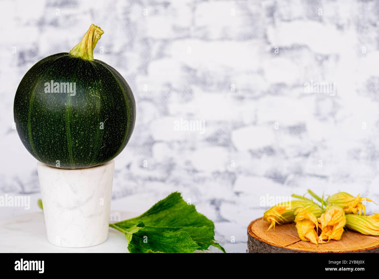 organic round green courgettes zucchini and yellow flower on gray ...