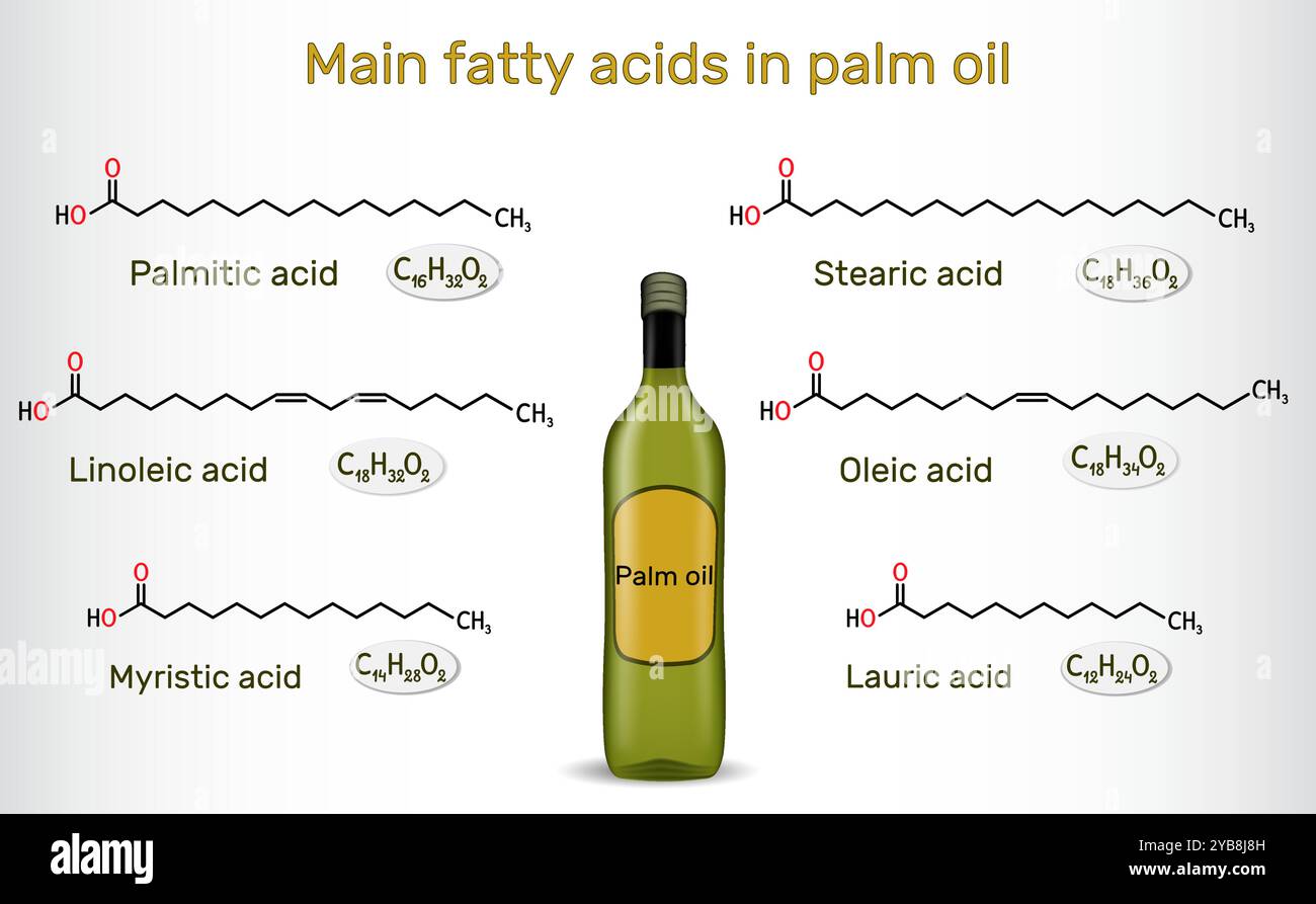 Main fatty acids in palm oil. Palmitic, stearic, oleic, linoleic ...