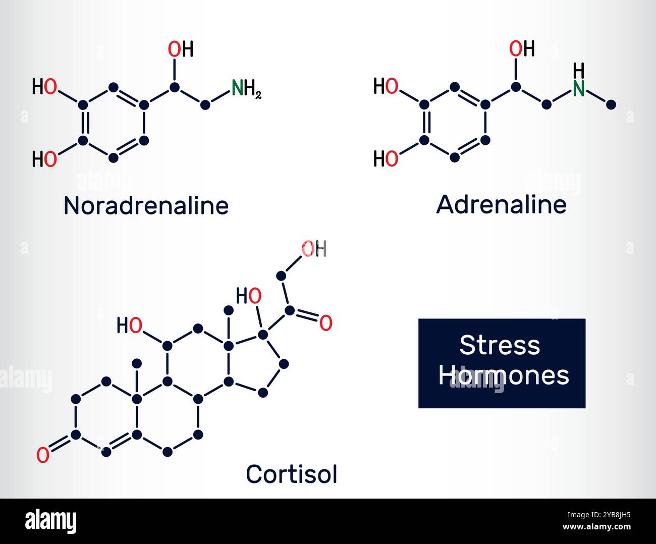 Major stress hormones molecules. Adrenaline (Epinephrine ...