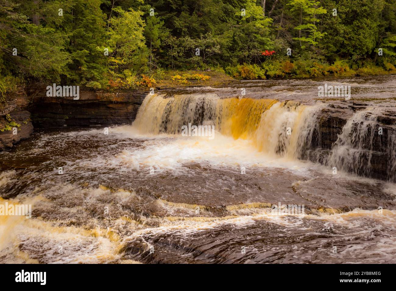 Beautiful Tahquamenon Falls in Michigan a waterfall in an autumn forest ...
