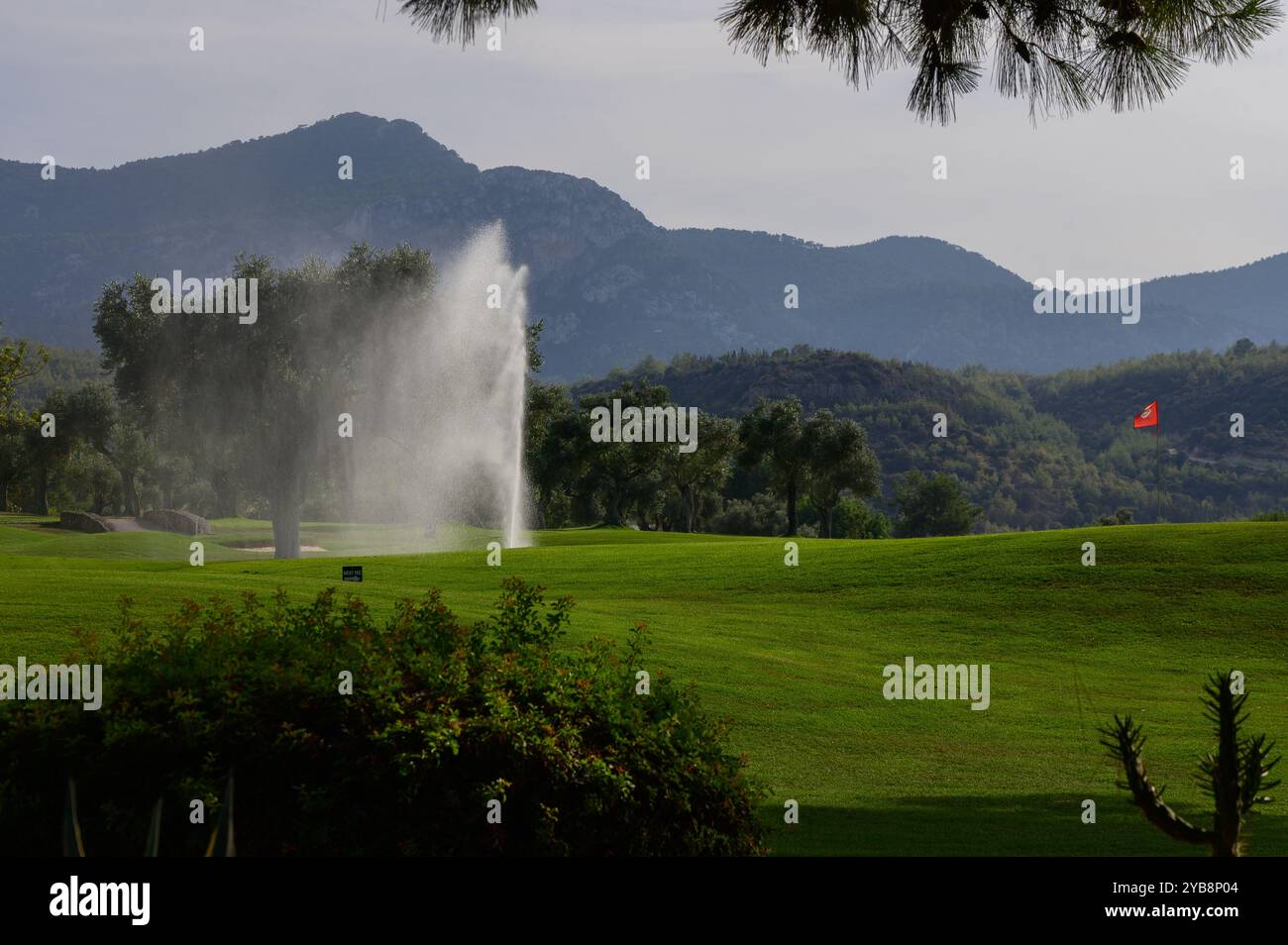 Lush green fairways stretch across the golf course, where a gentle ...