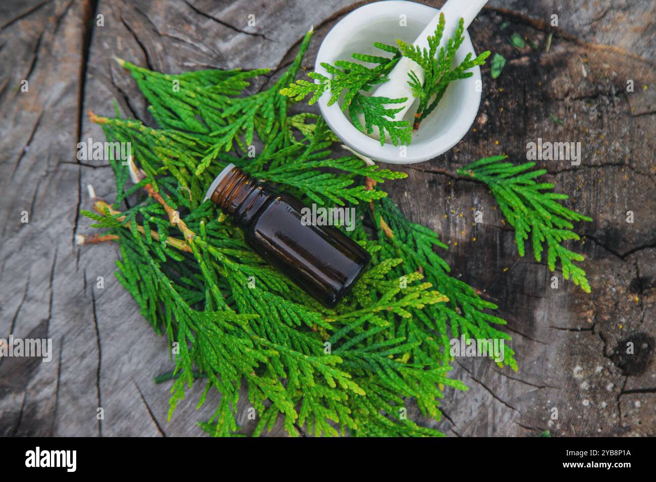 Juniper berries extract hi-res stock photography and images - Alamy