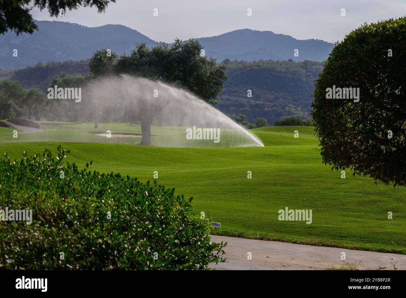 A beautiful golf course features vibrant green grass, with sprinklers ...