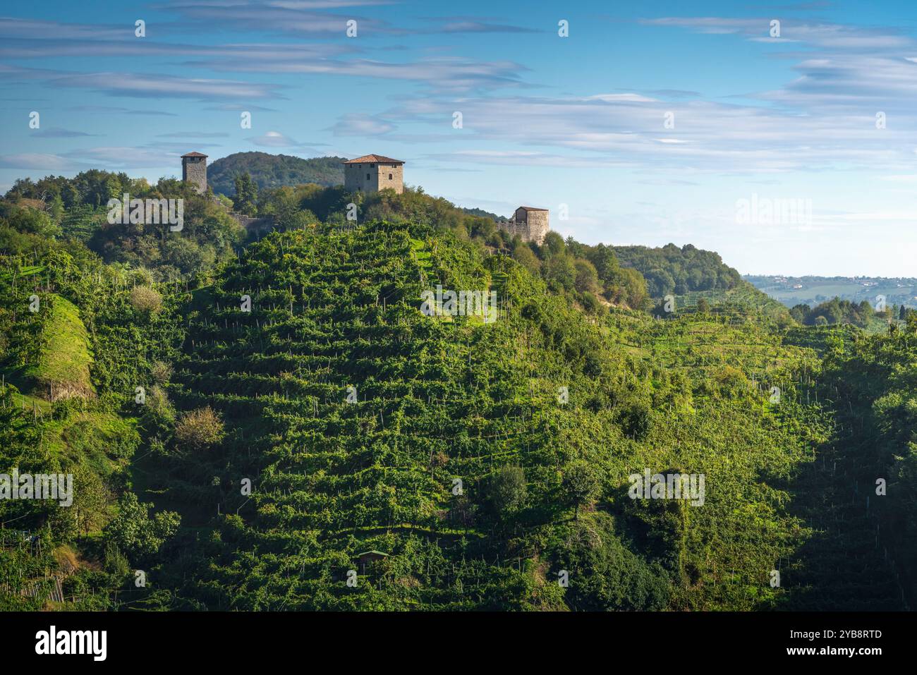 Prosecco Hills, vineyards and Credazzo Towers. Unesco World Heritage ...