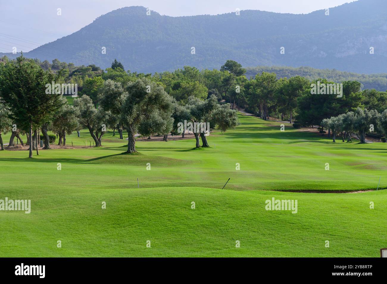 Golden sunlight gently bathes the expansive green golf course dotted ...