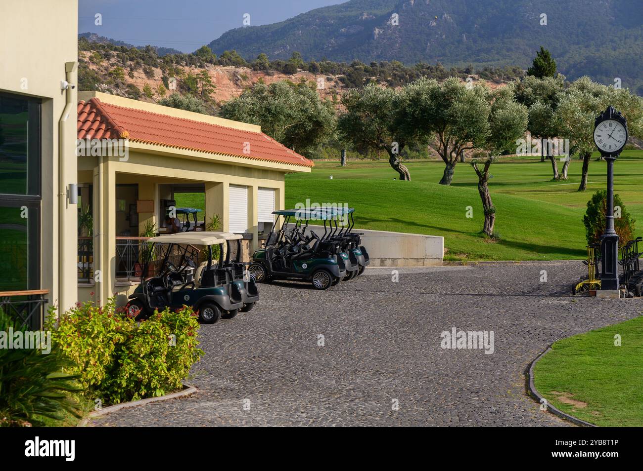 Golf carts line up along a winding stone pathway next to a charming ...