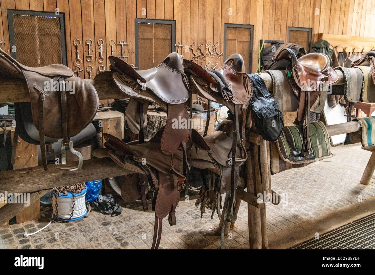 Inside a horse stable with saddle and bridle equipment for a safari at ...