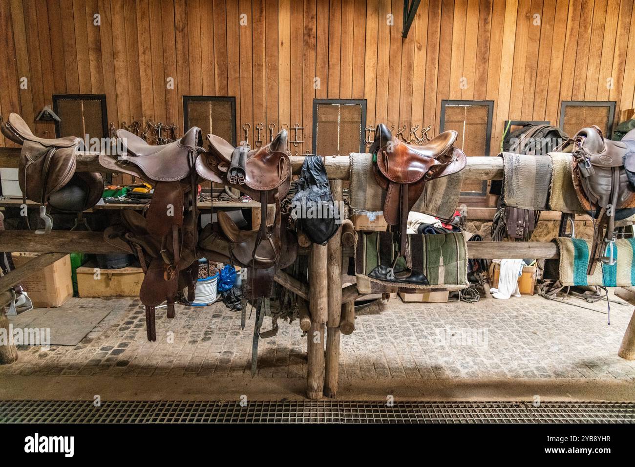 Inside a horse stable with saddle and bridle equipment for a safari at ...