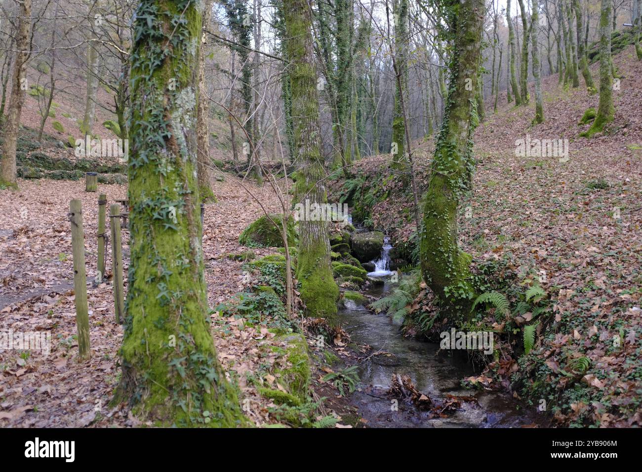 autumn landscape in Fafe (Barragem de Queimadela), north of Portugal ...