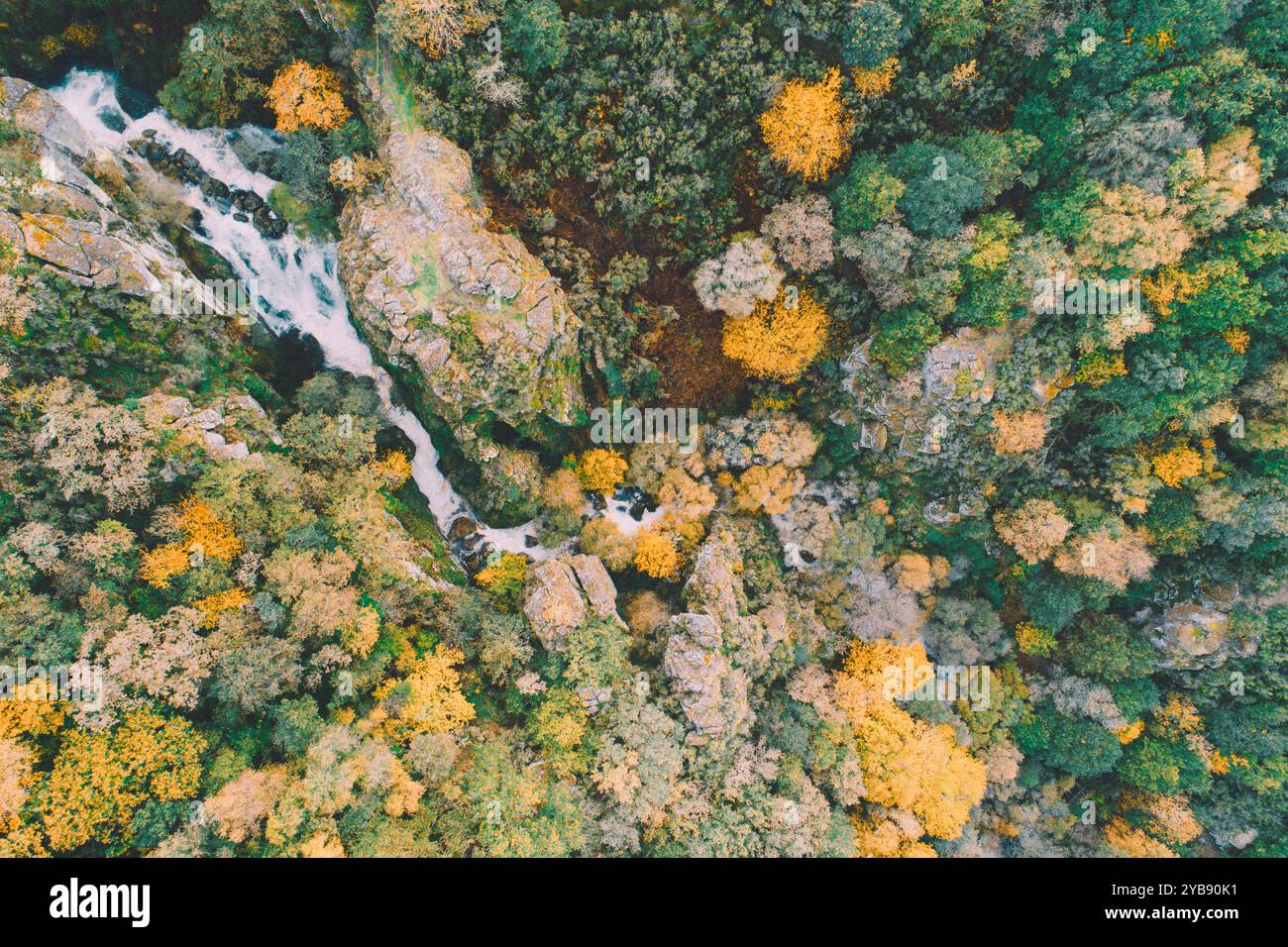 a waterfall in a deciduous forest in fall, aerial view with drone ...