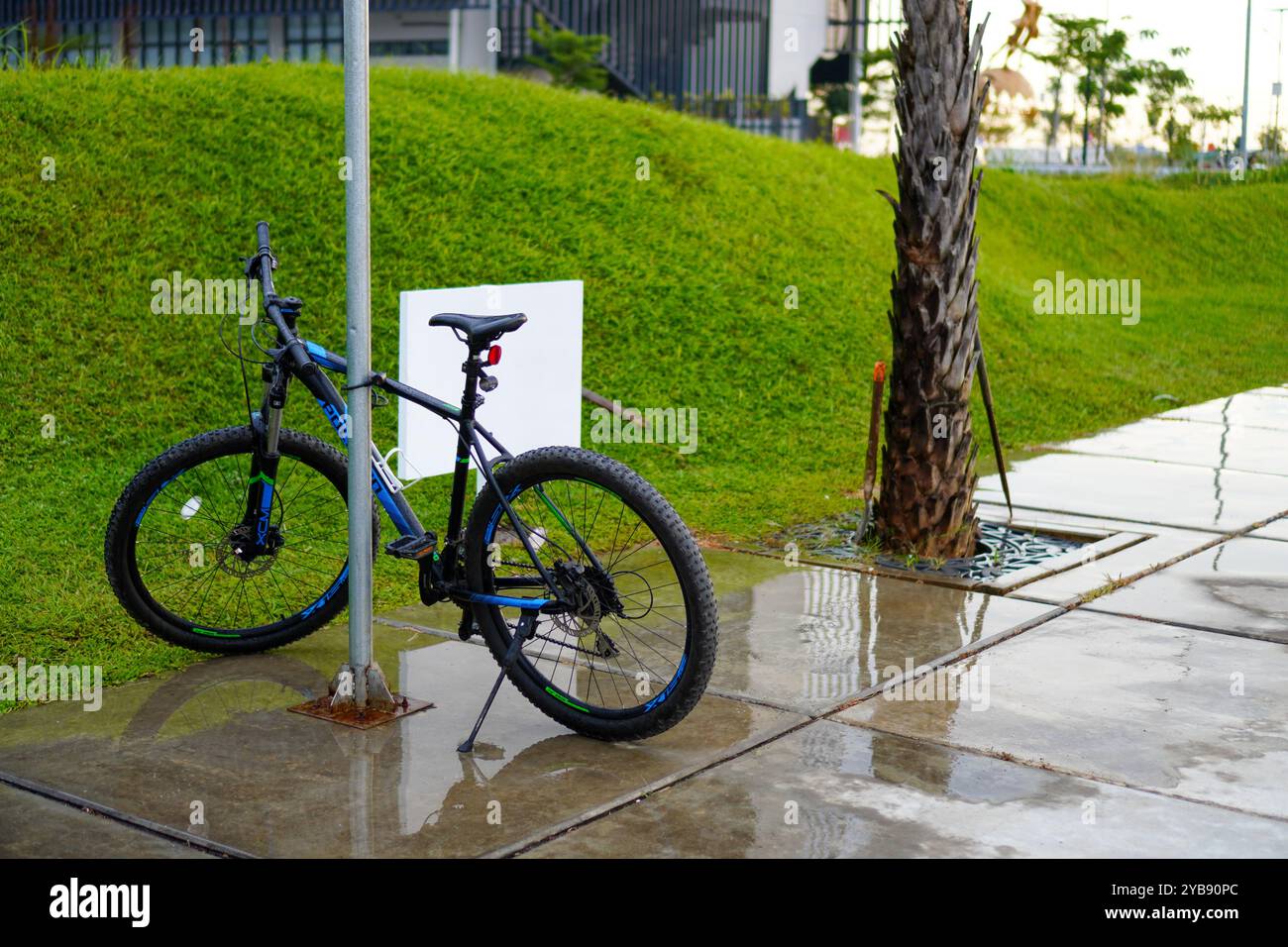 Bicycle Secured to a Park Pole Stock Photo - Alamy