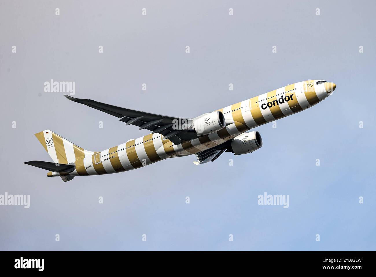 Condor, Airbus A330-900, D-ANRL, Symbolbild für Condor, Airbus A330 ...