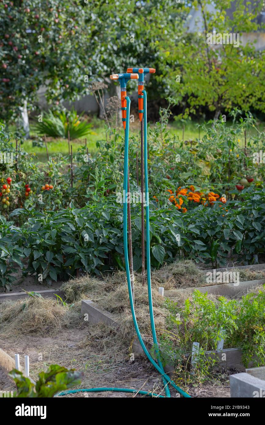 Garden irrigation system with two watering hoses and sprayers in a ...