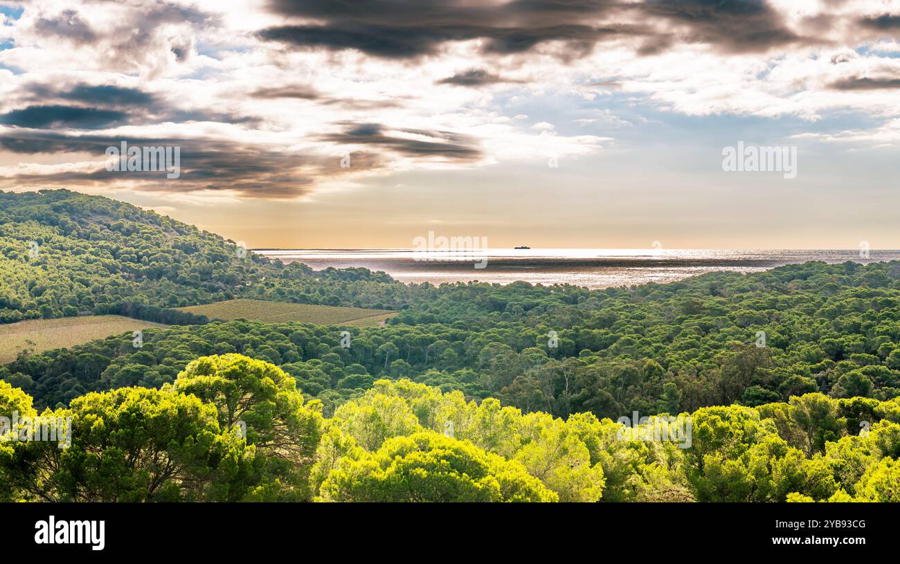 Nature and fields on the island of Porquerolles, in the Var, in ...