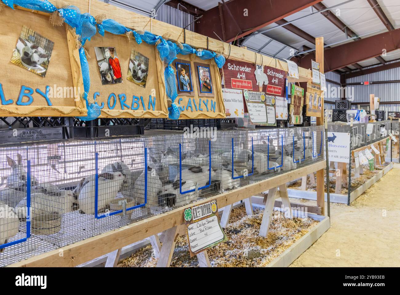 Goliad, Texas, United States. March 18, 2022. Rabbits in competition at ...