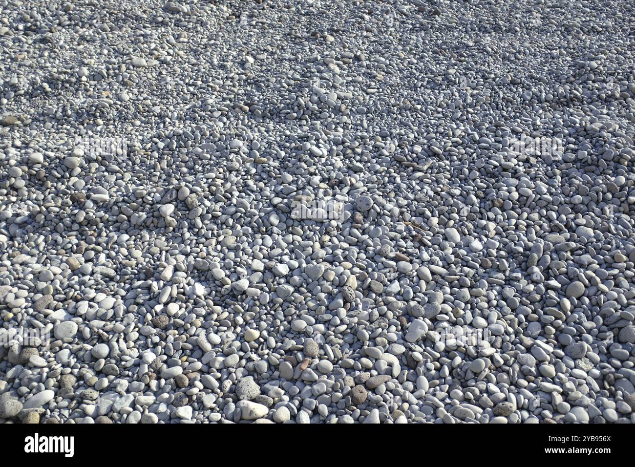 Praia Formosa in Funchal, Madeira Stock Photo - Alamy