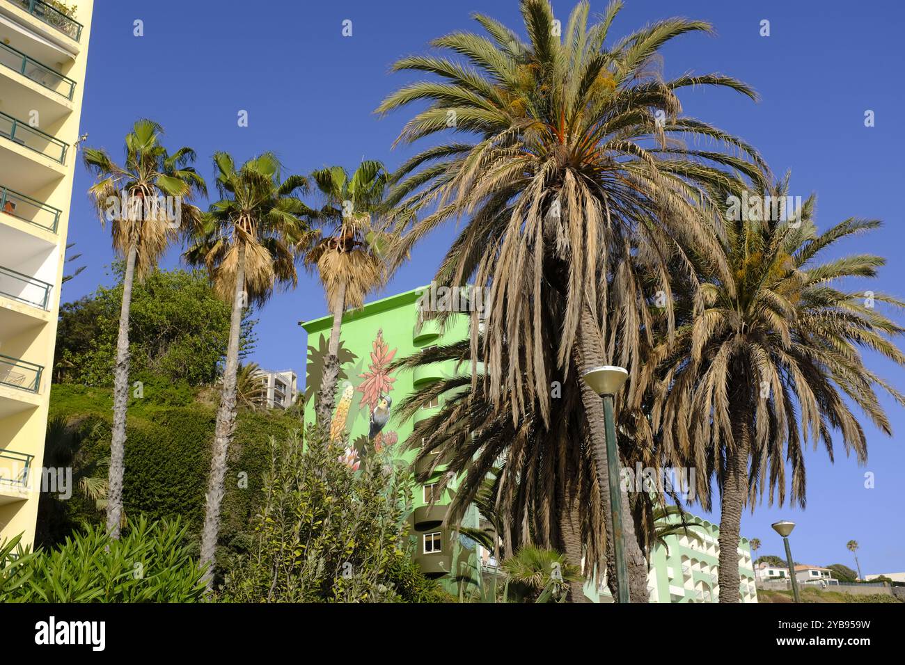 Praia Formosa in Funchal, Madeira Stock Photo - Alamy