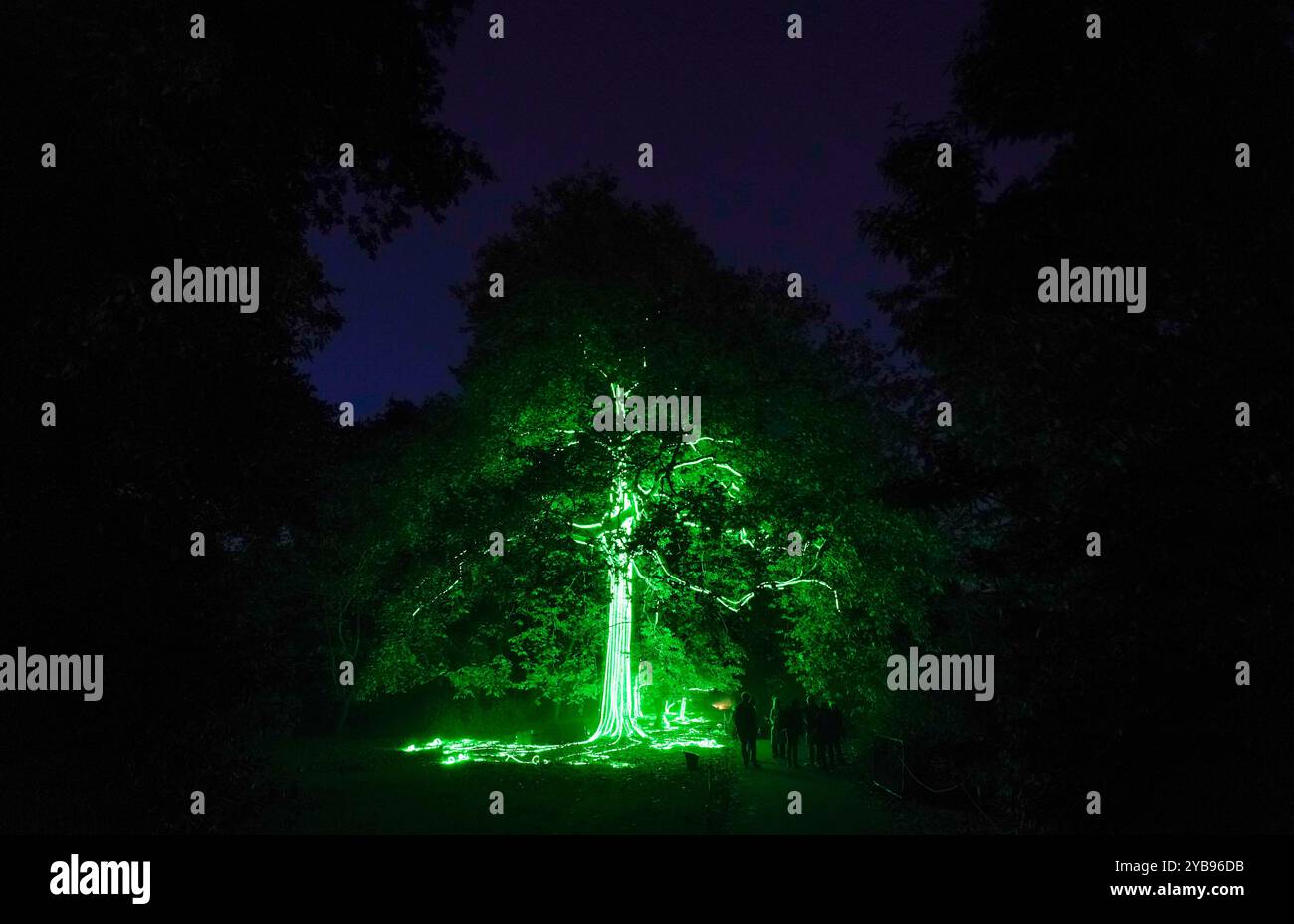A view of the 'Carnivorous Tree' on the Halloween trail at the Royal ...
