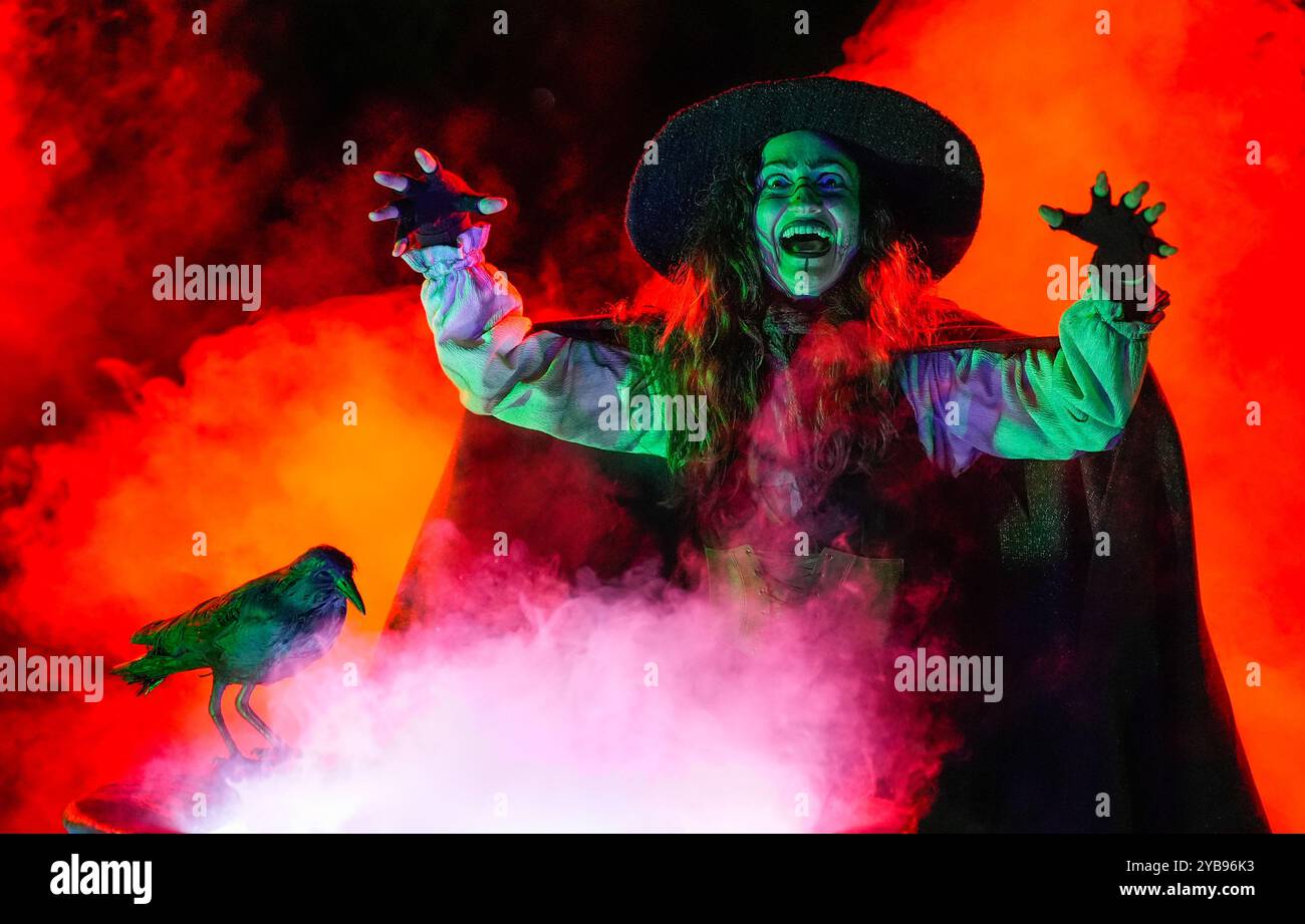 An actor playing the role of a witch next to a cauldron on the ...