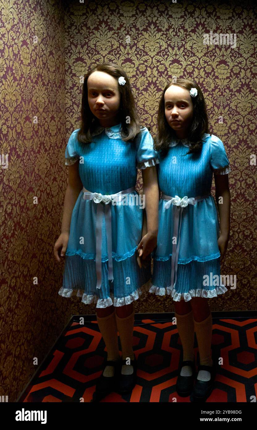 The Grady Twins ( Delbert sisters) from Steven King novel "The Shining ...