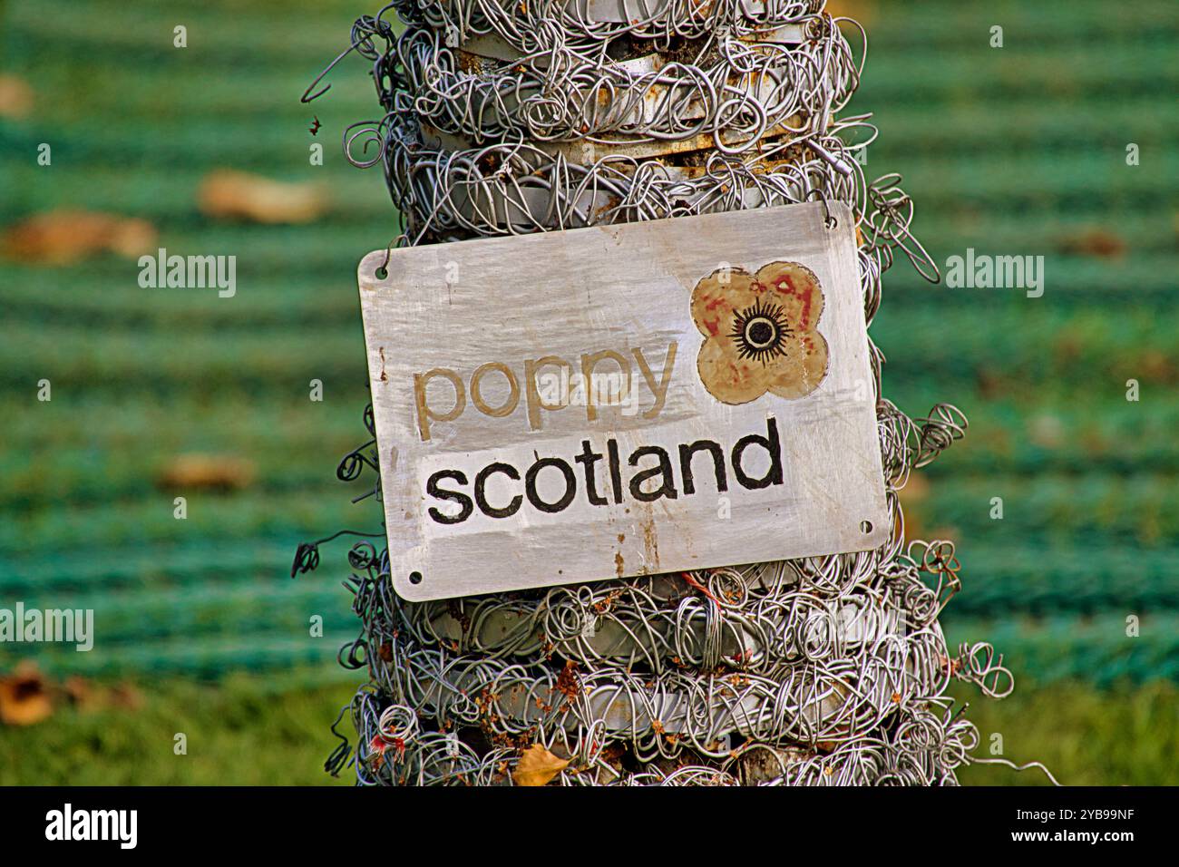 Edinburgh, Scotland, UK. 17th October, 2024sees a Poppy Garden in front ...