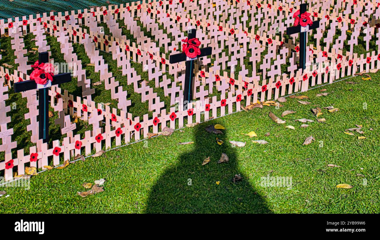 Edinburgh, Scotland, UK. 17th October, 2024sees a Poppy Garden in front ...