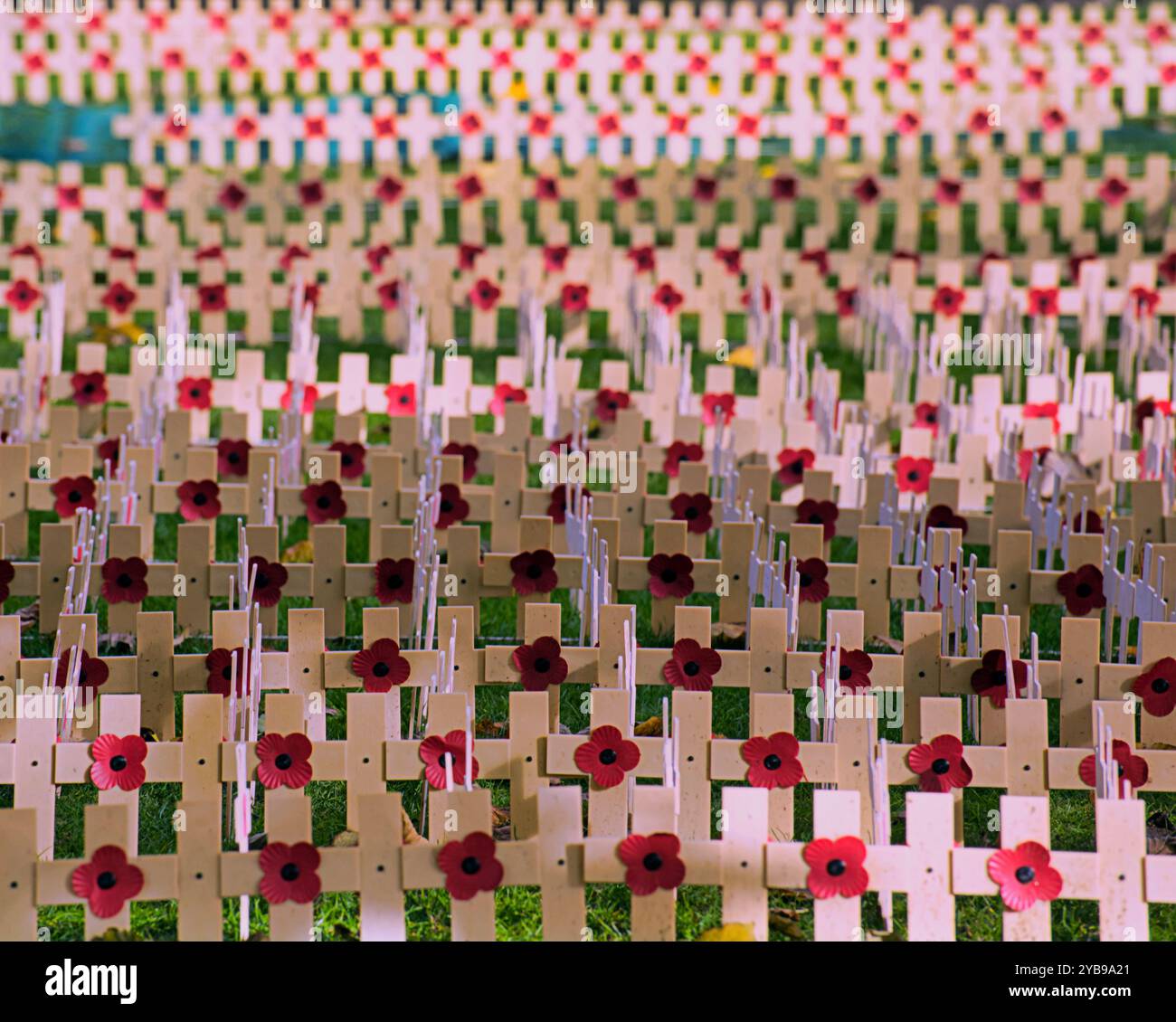 Edinburgh, Scotland, UK. 17th October, 2024sees a Poppy Garden in front ...