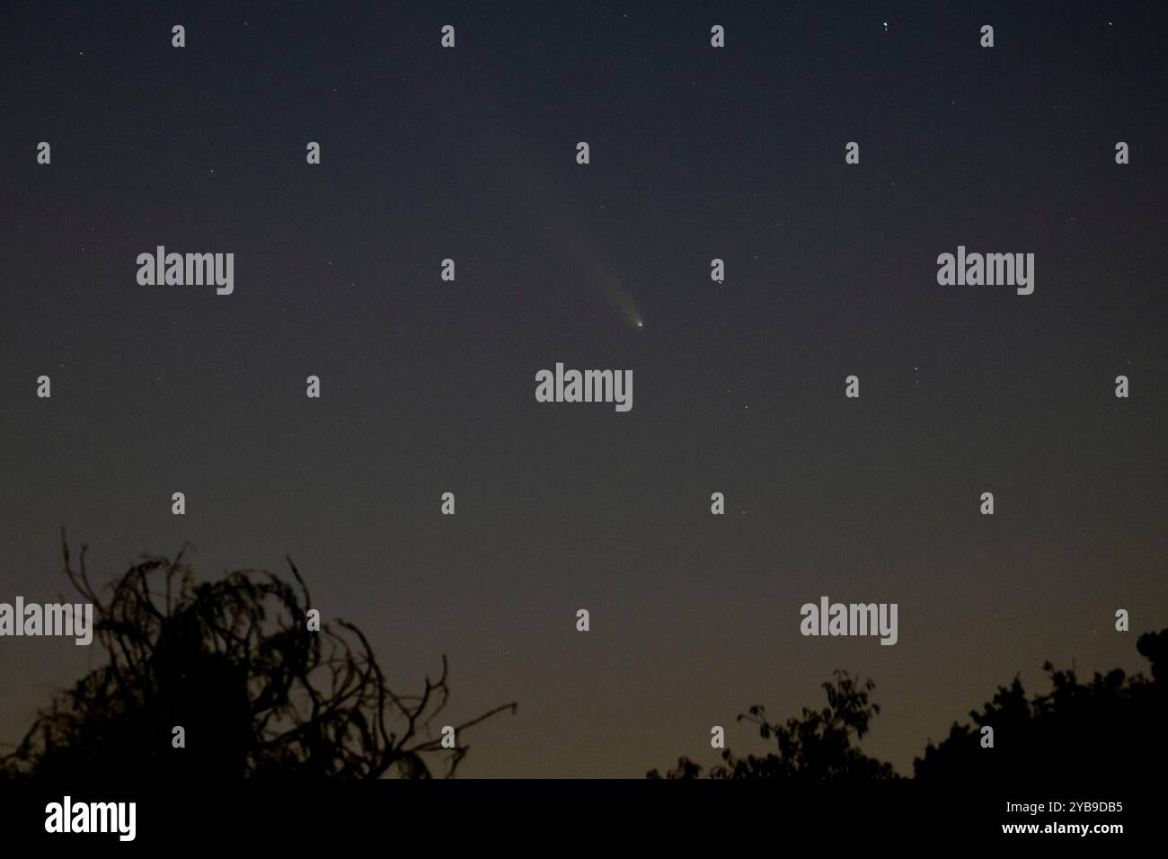 Komet c 2023 a3 tsuchinshan atlas -Fotos und -Bildmaterial in hoher Auflösung - Seite 2 - Alamy