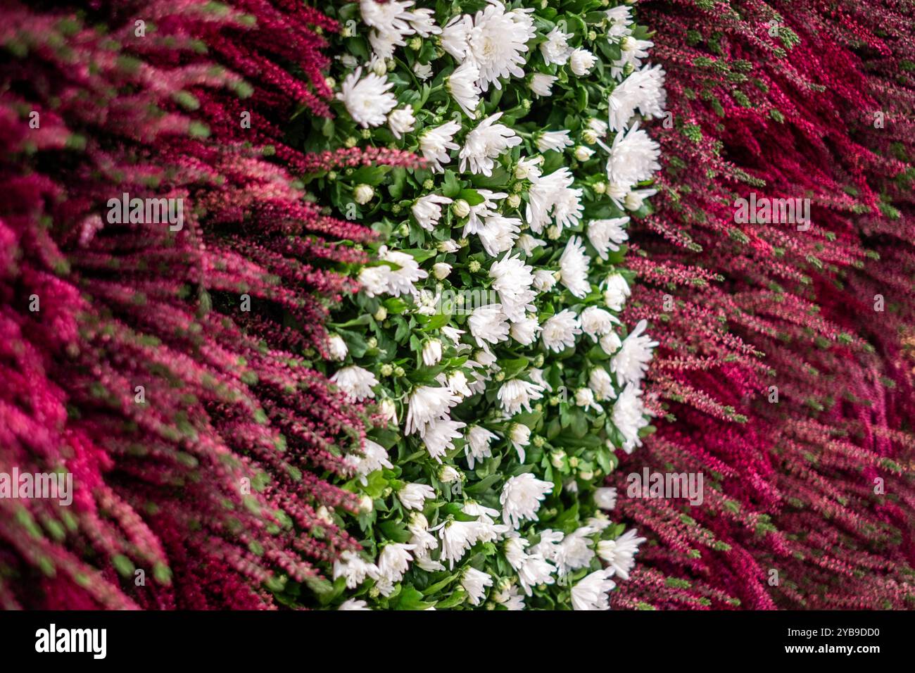 Colorful flowers are meticulously arranged to create a stunning ...