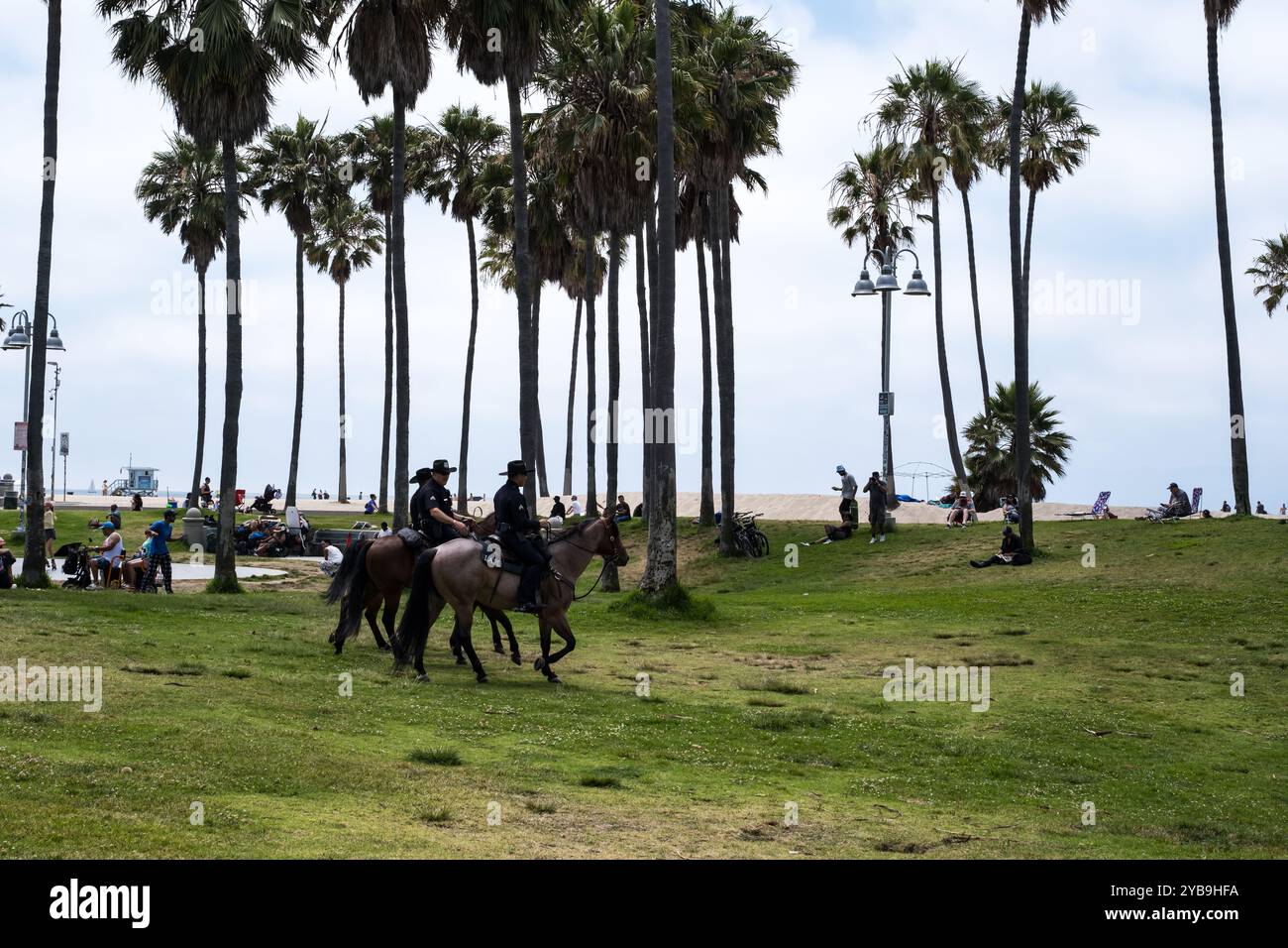 Los Angeles, USA. 4th Jul, 2024. LAPD Horse Mounted Police on Venice ...