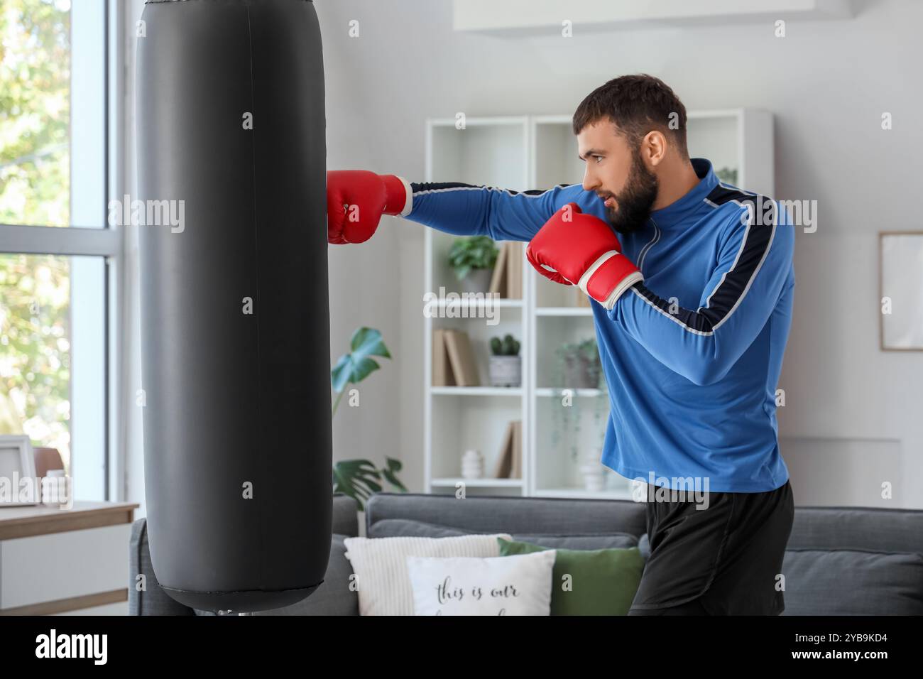 Sporty young man in boxing gloves punching bag at home Stock Photo - Alamy
