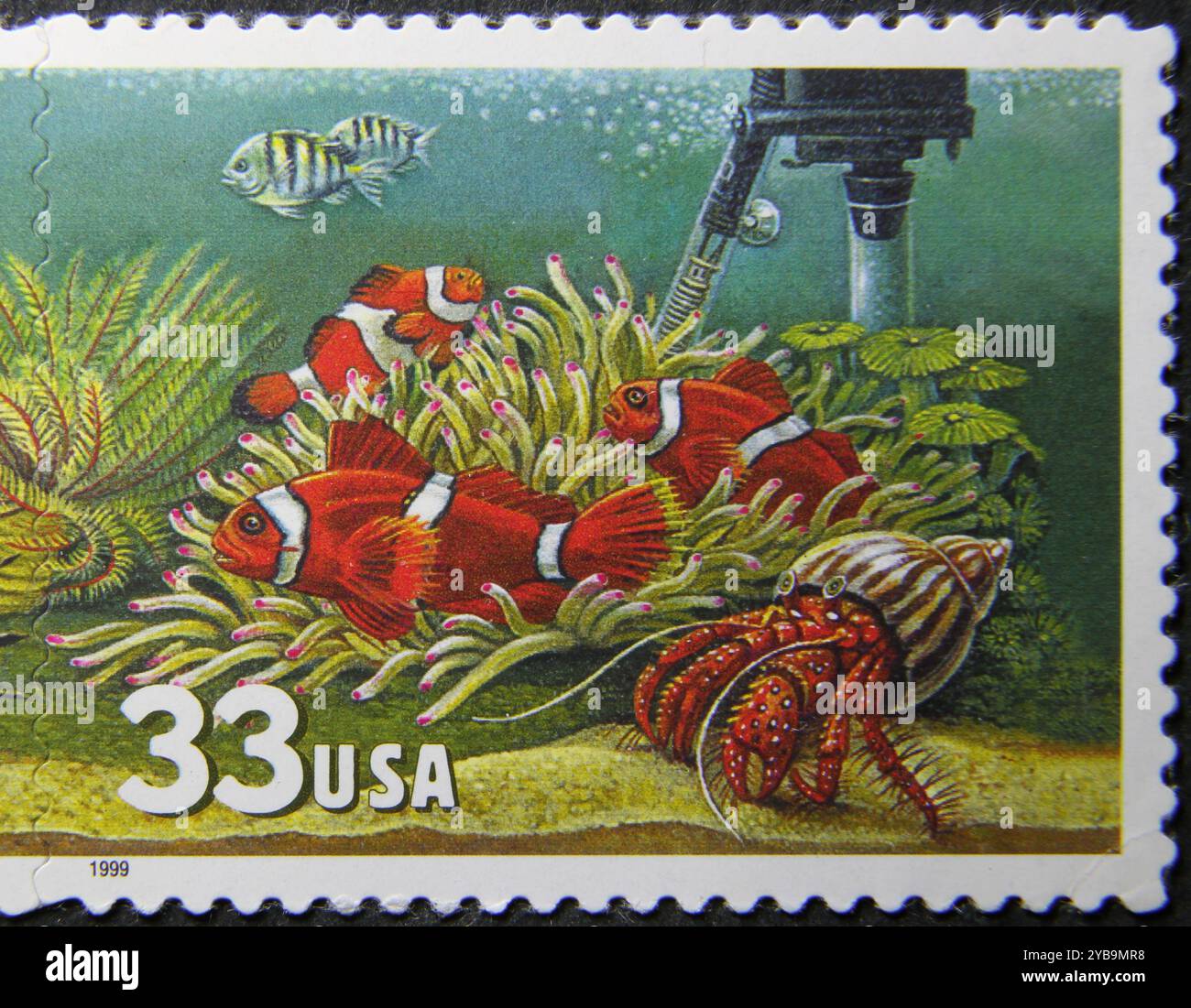 ISTANBUL, TURKEY - JANUARY 25, 2021: United States stamp shows Reef ...