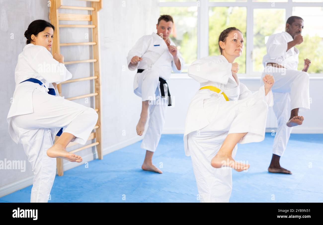 Women and men in kimono in fight stance during group karate training ...