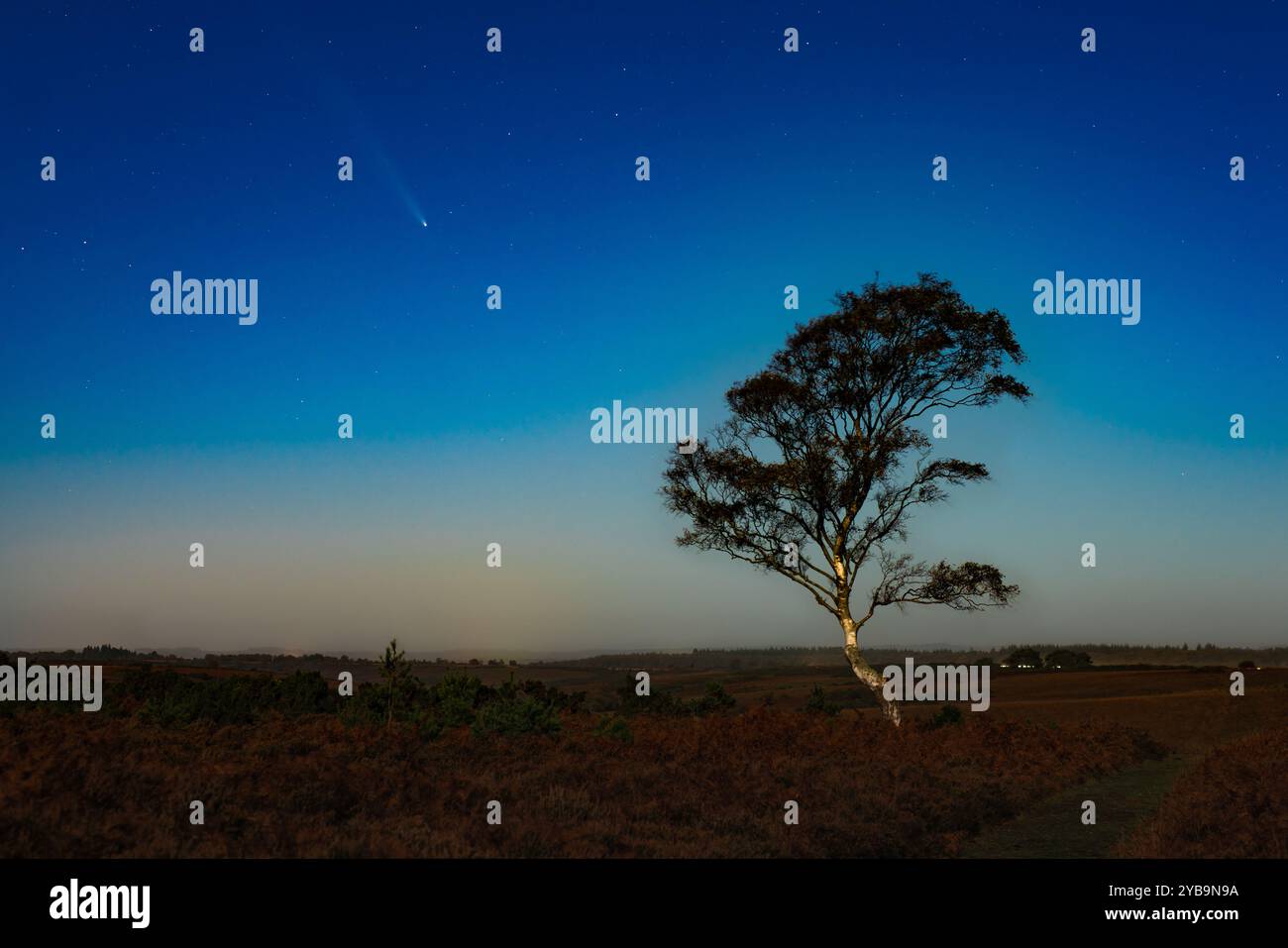 Comet A3 seen over the New Forest Stock Photo - Alamy