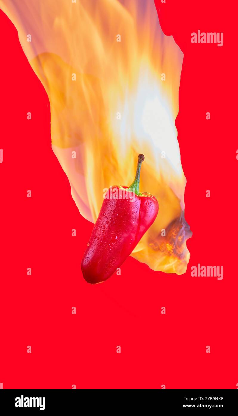 Red pepper with flames behind it on a red background Stock Photo - Alamy