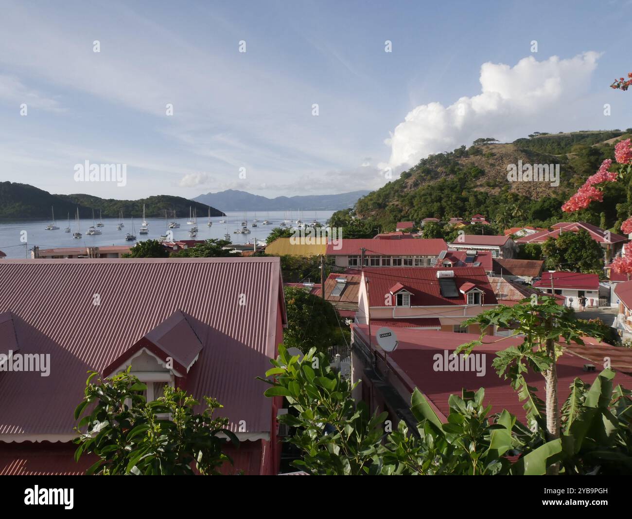 typical red roofs and the bay in Terre de haut, les saintes, guadeloupe ...