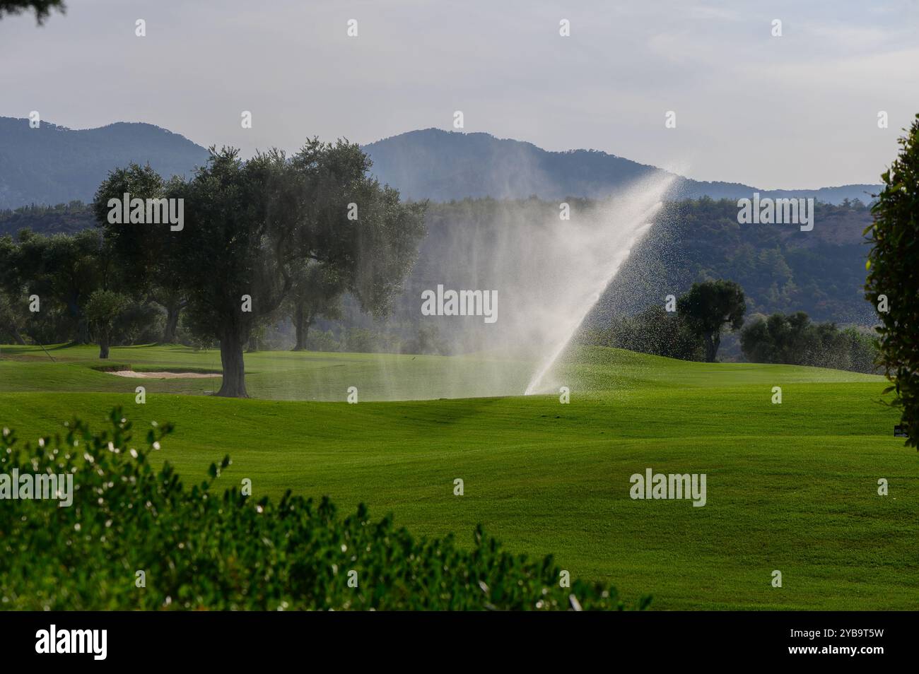 Under a bright sky, a golf course is brought to life as sprinklers ...