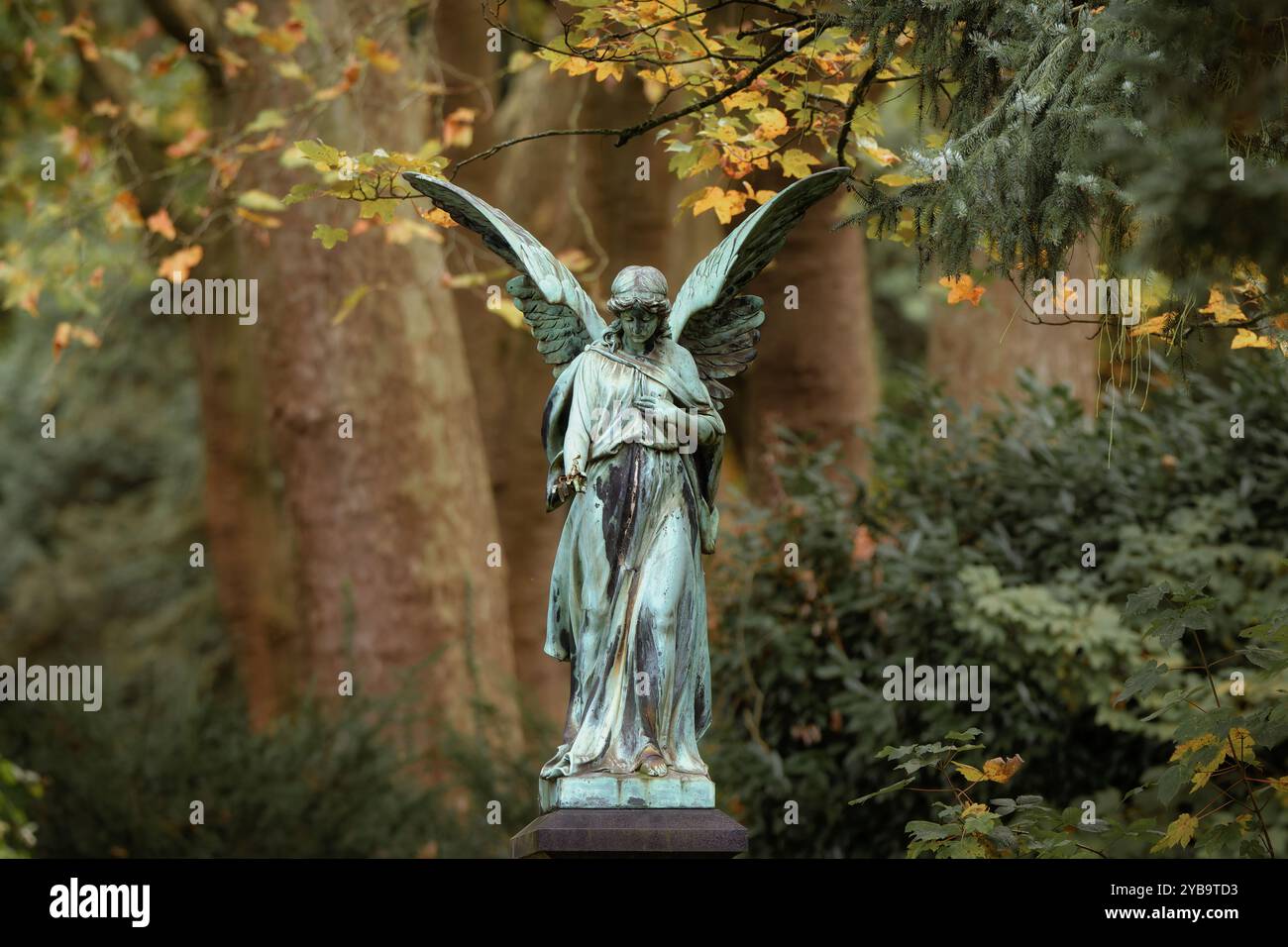 an angel with wings in front of autumn leaves in the fairytale-like ...